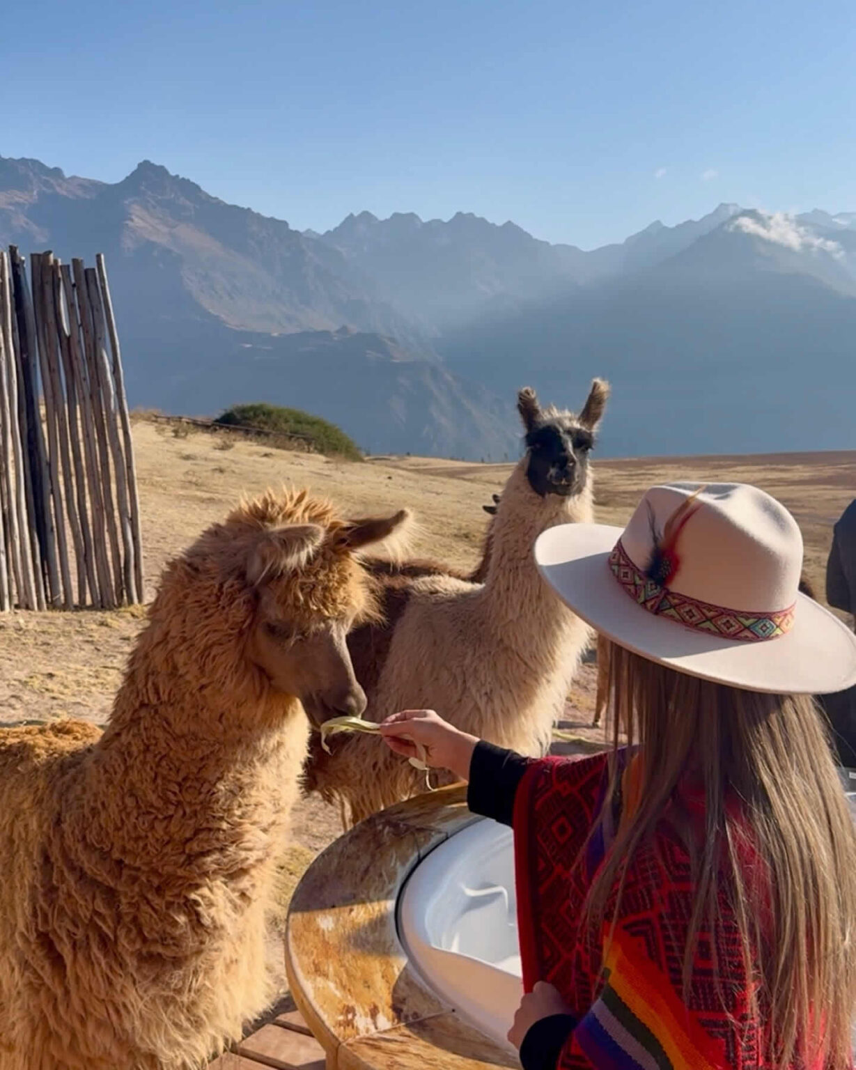 Traslado privado Cusco a Mountain View Experience
